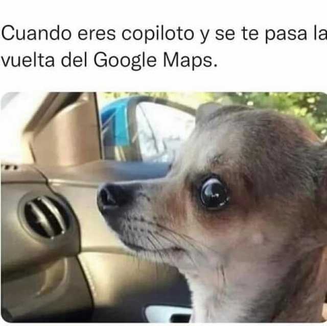 Cuando eres copiloto y te pasas - Jaidefinichon