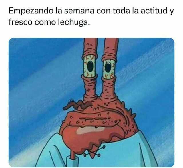 Fresco como lechuga - Jaidefinichon