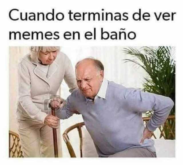 Memes en el baño - Jaidefinichon